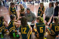 Waverley Basketball Association